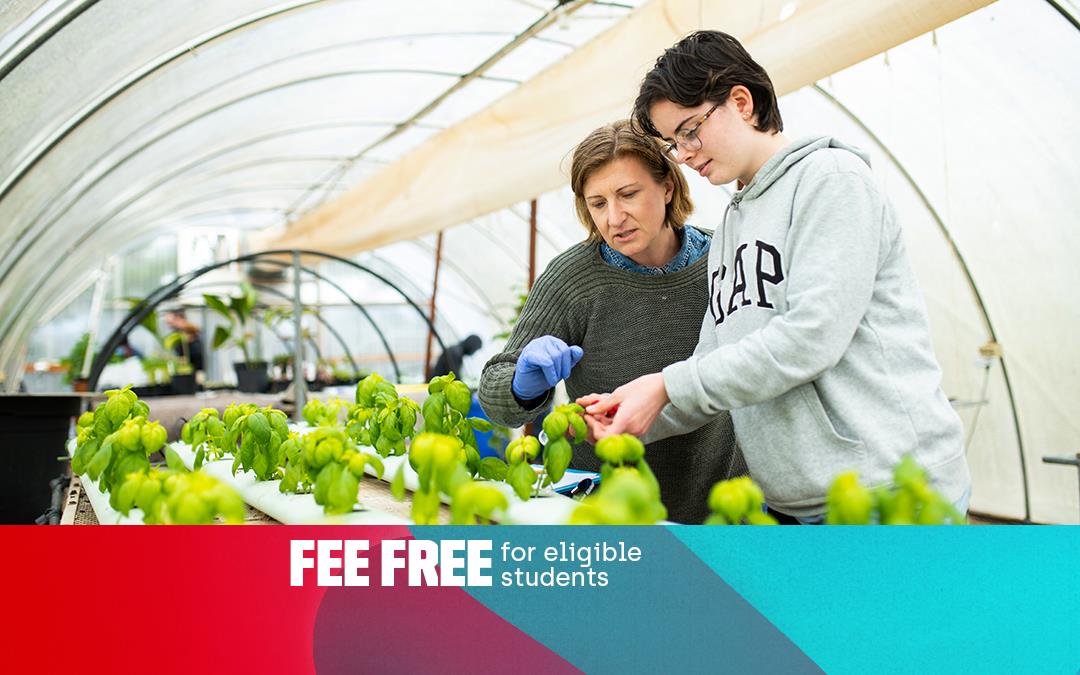 Certificate II in Horticulture - TAFE SA