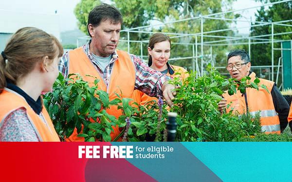 Certificate III in Horticulture - TAFE SA