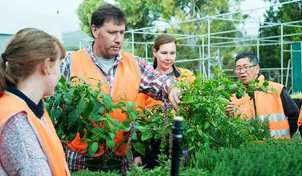 Certificate III in Horticulture - Horticulture - TAFE SA