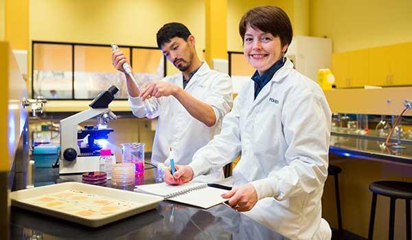 Diploma of Food Science and Technology - TAFE SA