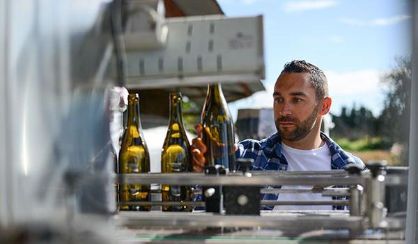 Certificate III in Wine Industry Operations (Bottling and Packaging ...