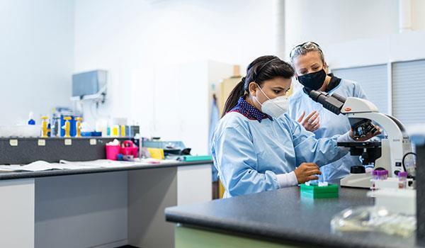 Certificate IV in Laboratory Techniques - Science - TAFE SA